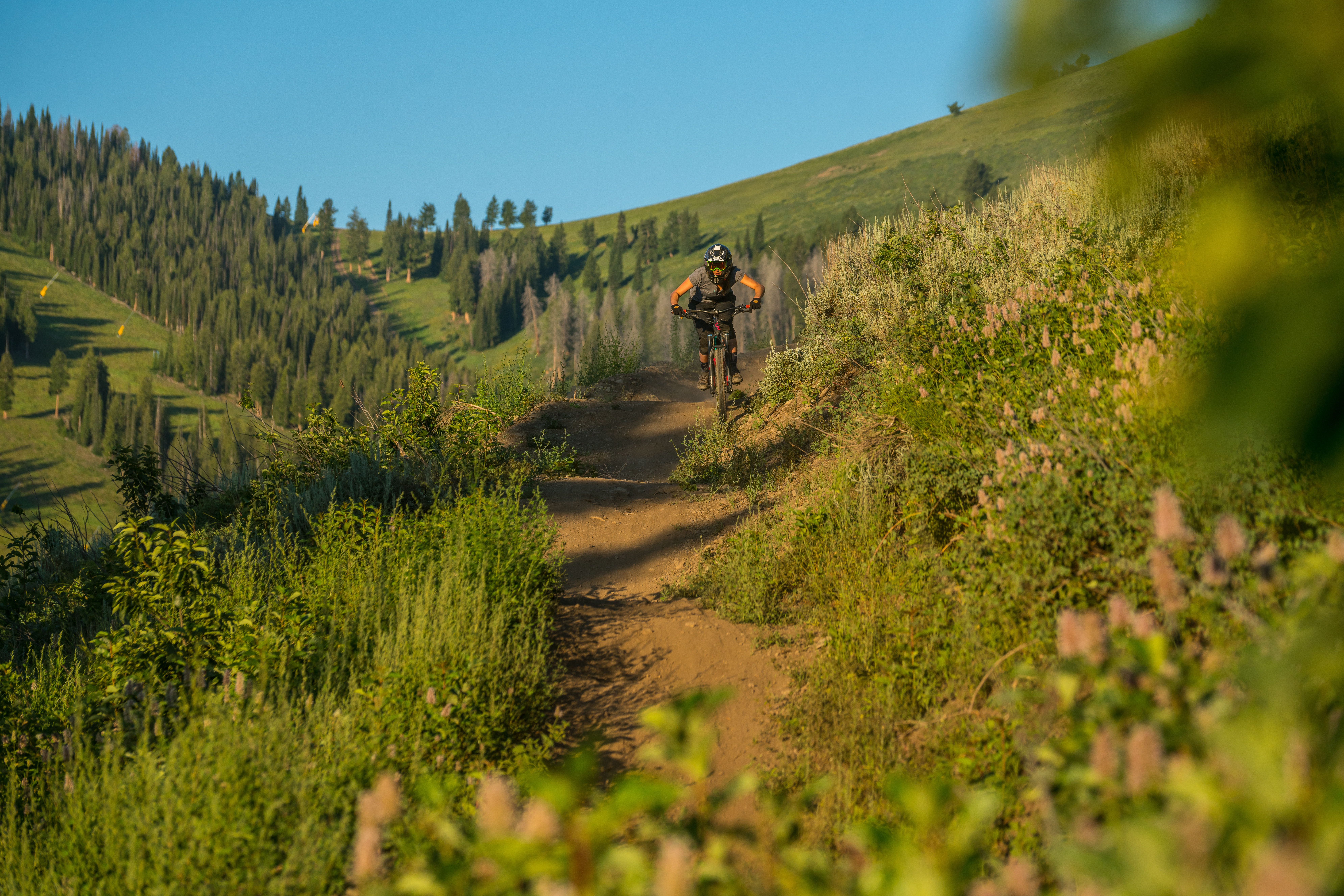 Secure Your Skiing & Riding Adventure | Sun Valley